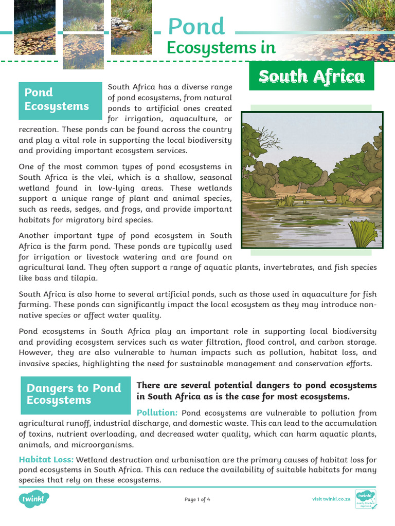 South Africa's Diverse Pond Ecosystems | PDF | Pond | Wetland