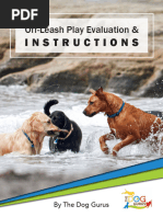 Gold and Fetch AKC FIT DOG Titles 02092024 | PDF | American Kennel Club ...