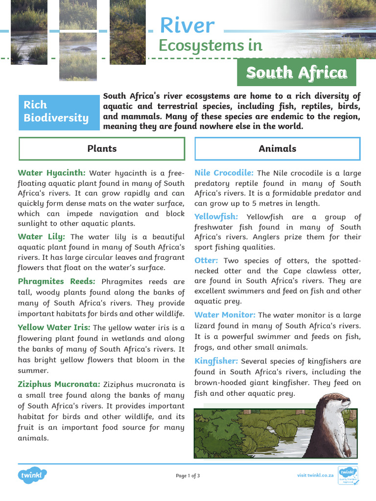 Za NST 1676559631 River Ecosystems in South Africa - Ver - 1 | PDF ...