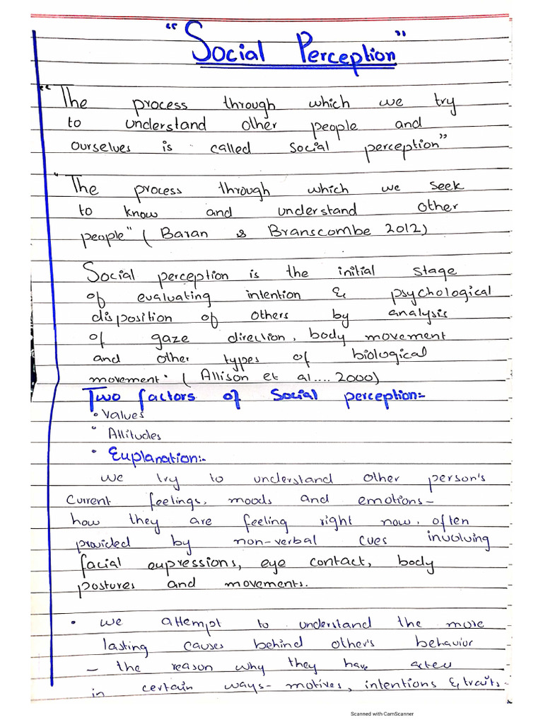 Social Perception | PDF