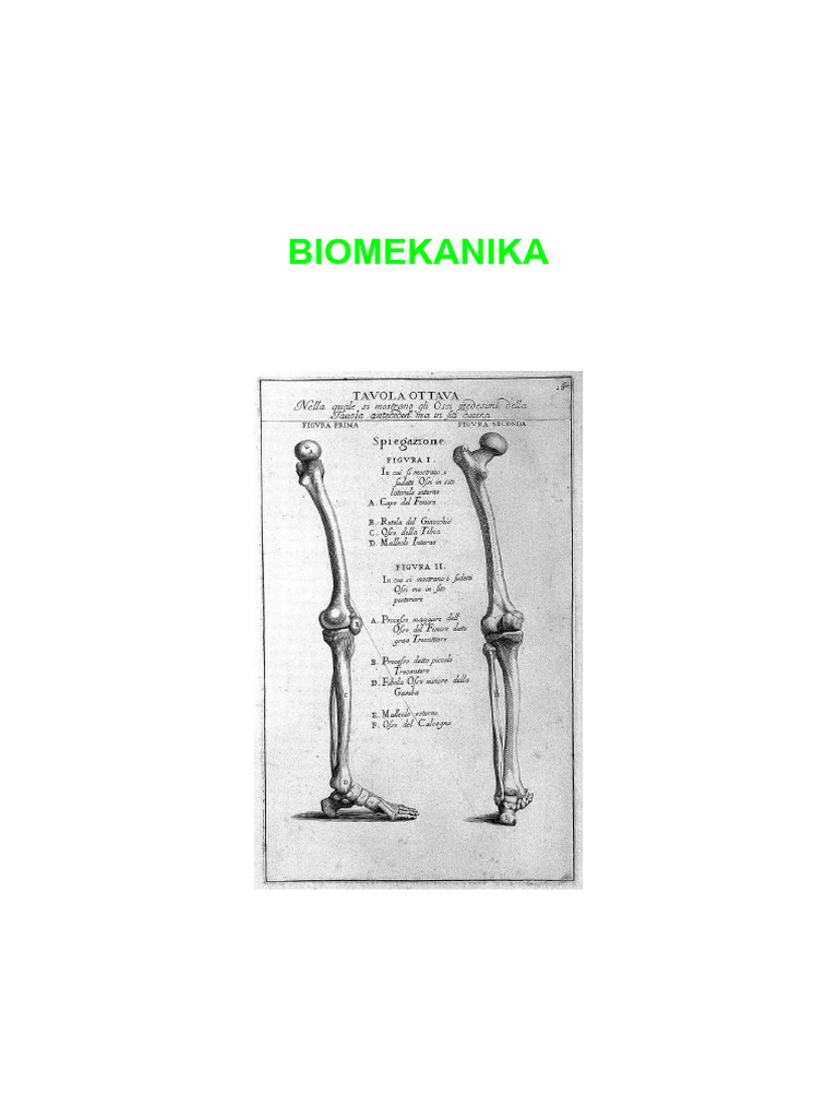 BIOMEKANIKA (1) | PDF