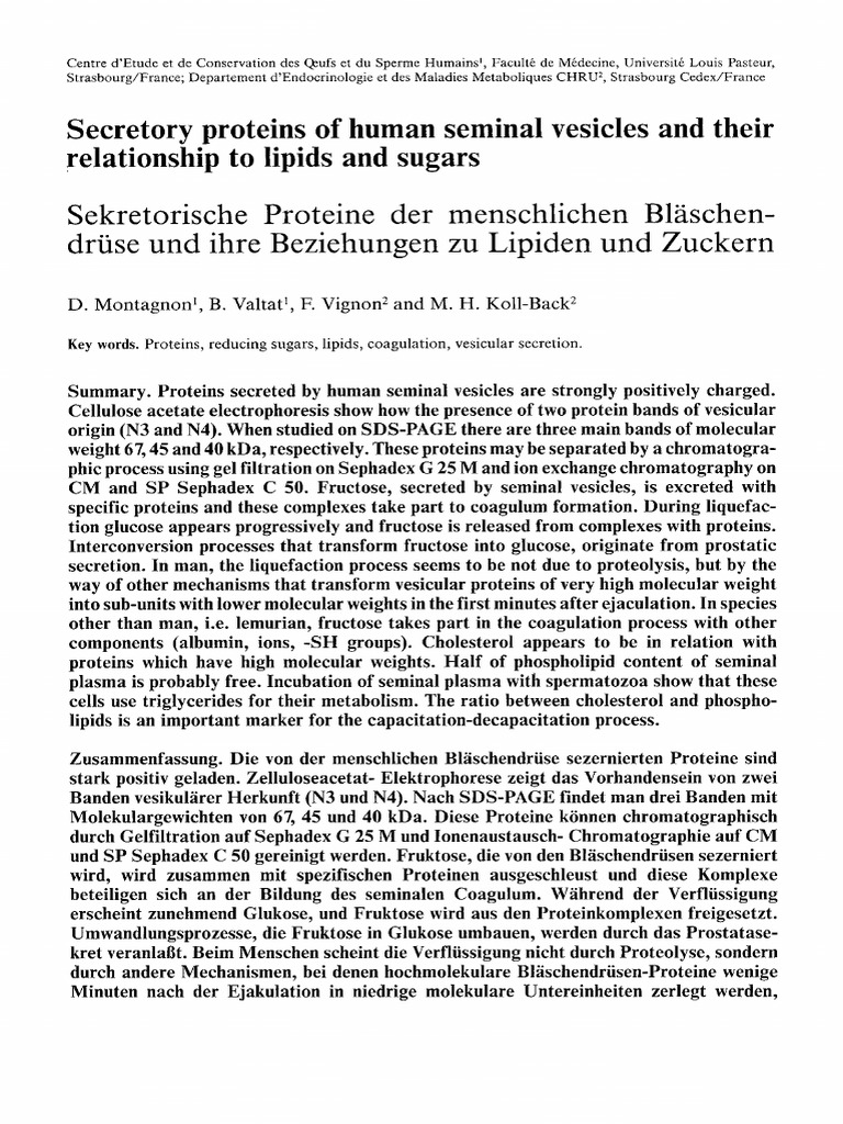 Secretory Proteins in Human Seminal Vesicles | PDF | Secretion ...