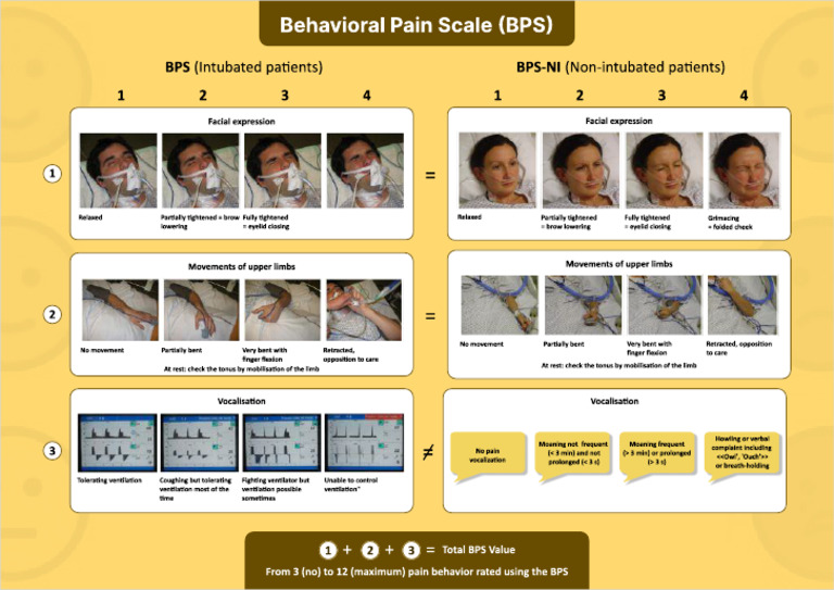 Behavioral Pain Scale (BPS) | PDF | Clinical Medicine | Diseases And Disorders