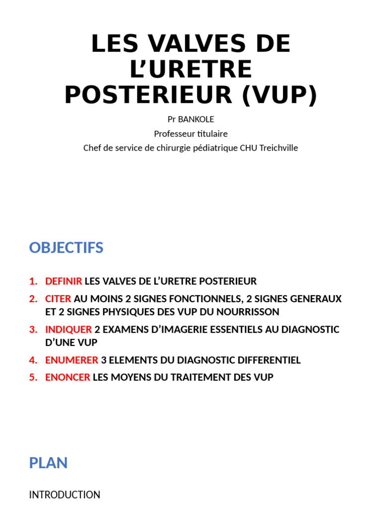 PMC 3-Les Valves de L'urètre Postérieur | PDF | Urologie | Médecine clinique