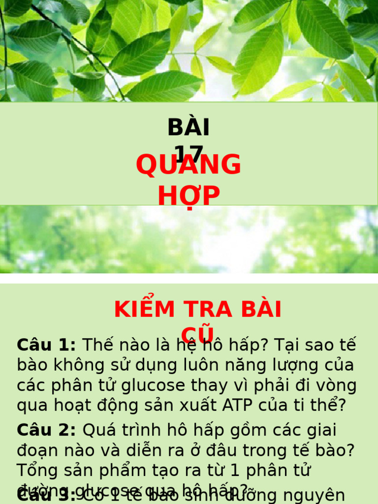 Bai 17 Quang Hop | PDF