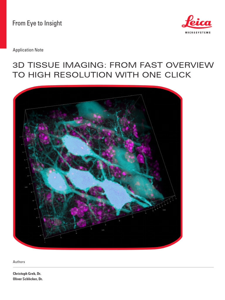 Mica - App Note - 3D Tissue Imaging | PDF | Confocal Microscopy ...