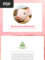 PiG Anatomy | PDF