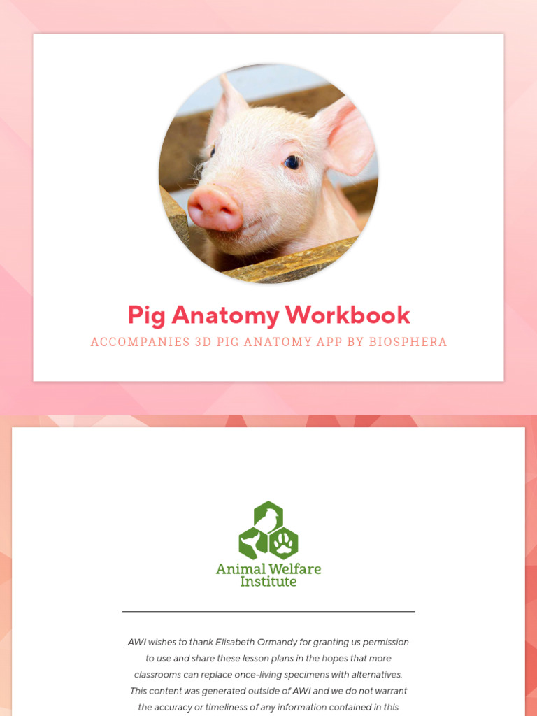 3D Pig Anatomy Workbook Guide | PDF | Respiratory Tract | Atrium (Heart)