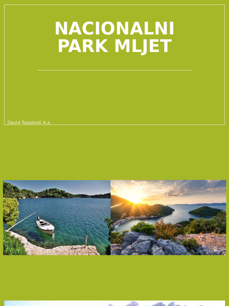 Presentation 1 | PDF