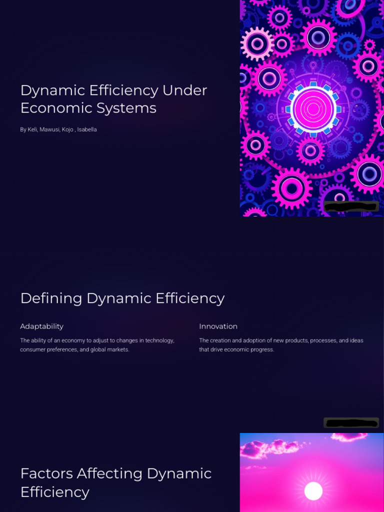 Dynamic Efficiency Under Economic Systems | PDF