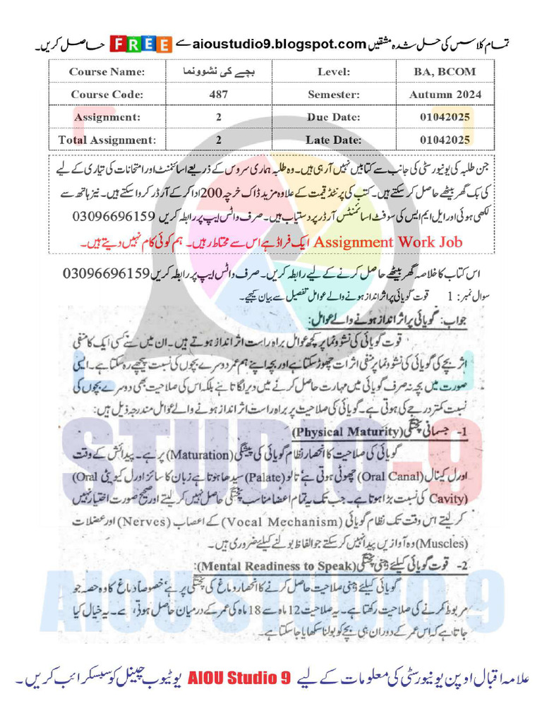 487-2 (Autumn2024) | PDF