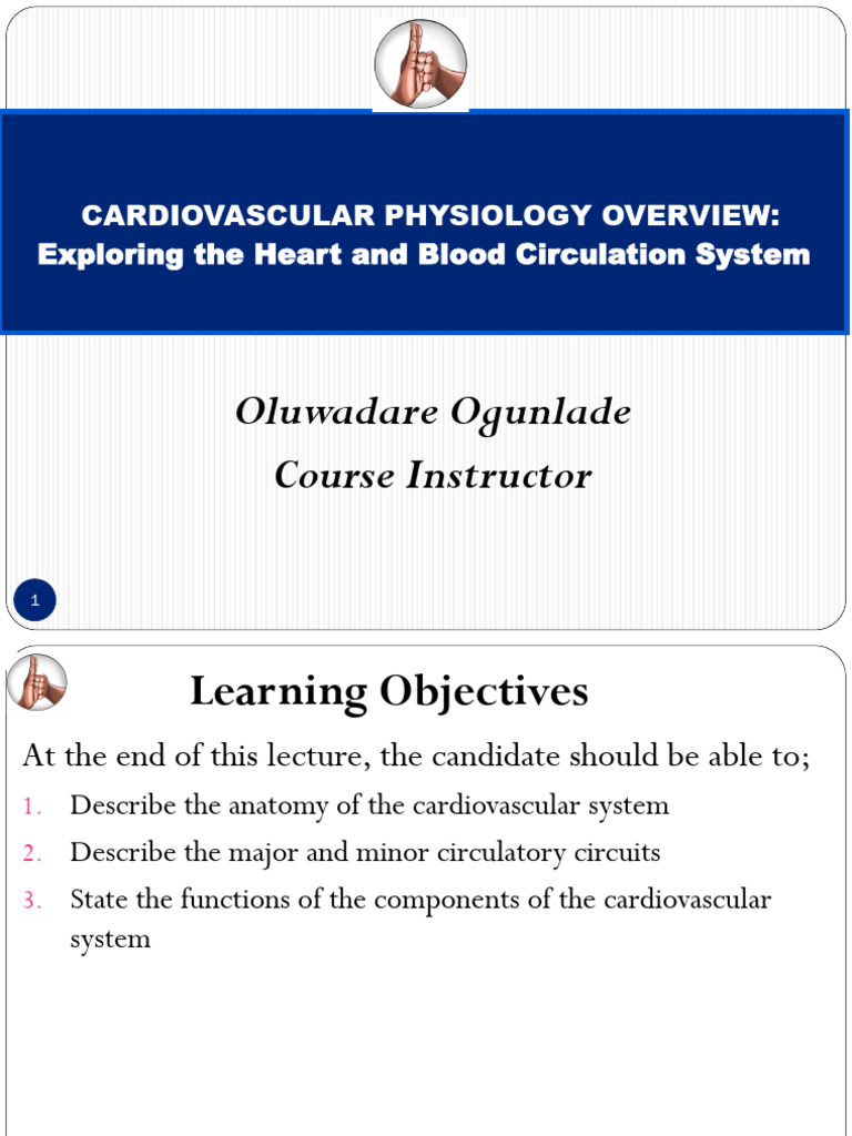 cardiovascular physio pdf | PDF | Circulatory System | Heart