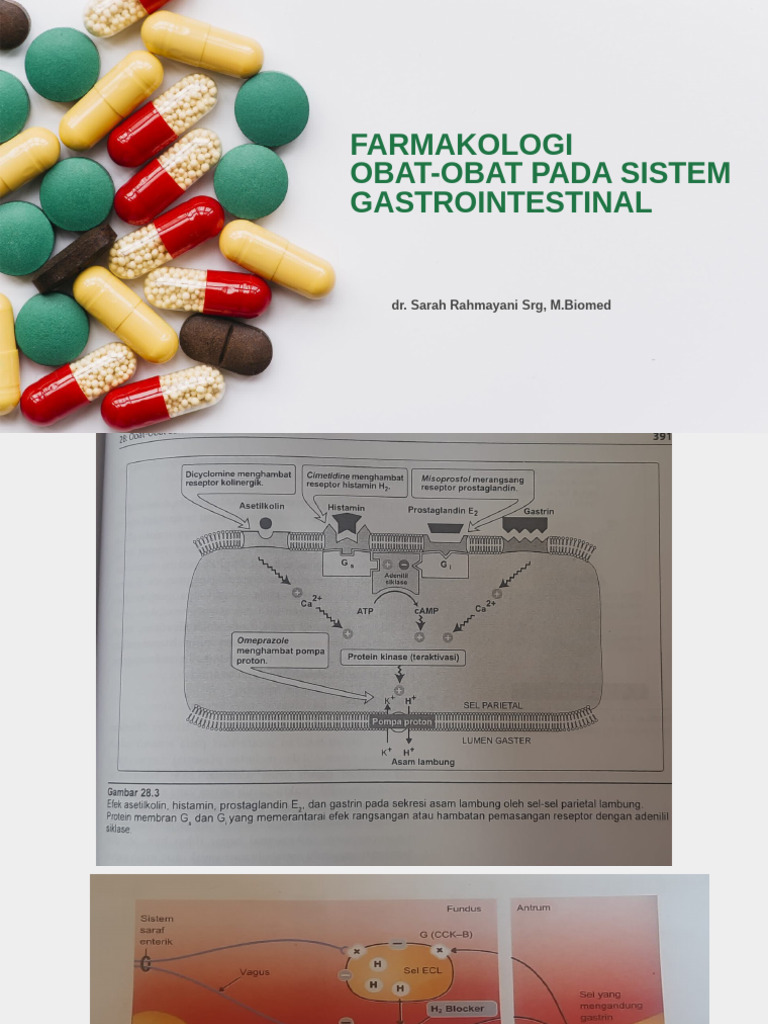 farmakologi sal cerna (1) | PDF