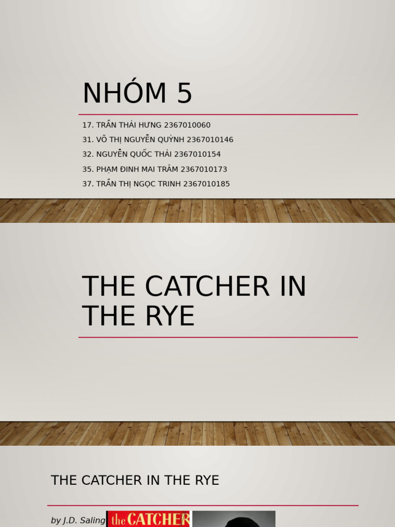 The Catcher in the Rye Summary & Analysis | PDF