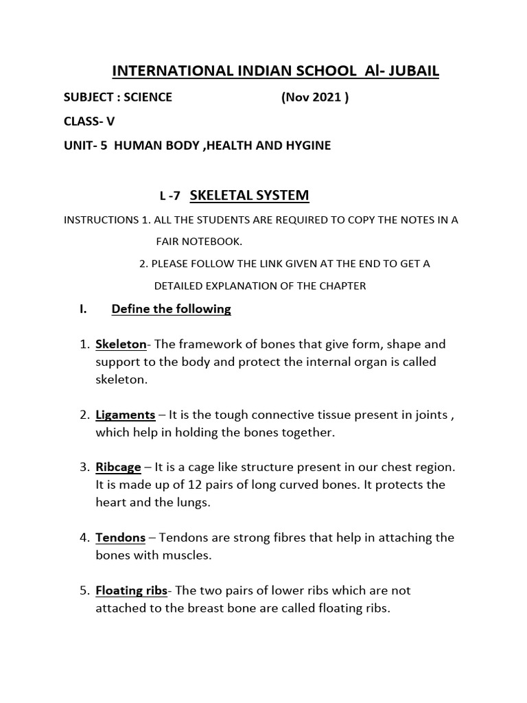 Grade 5 Science: Skeletal System | PDF | Skeleton | Muscle