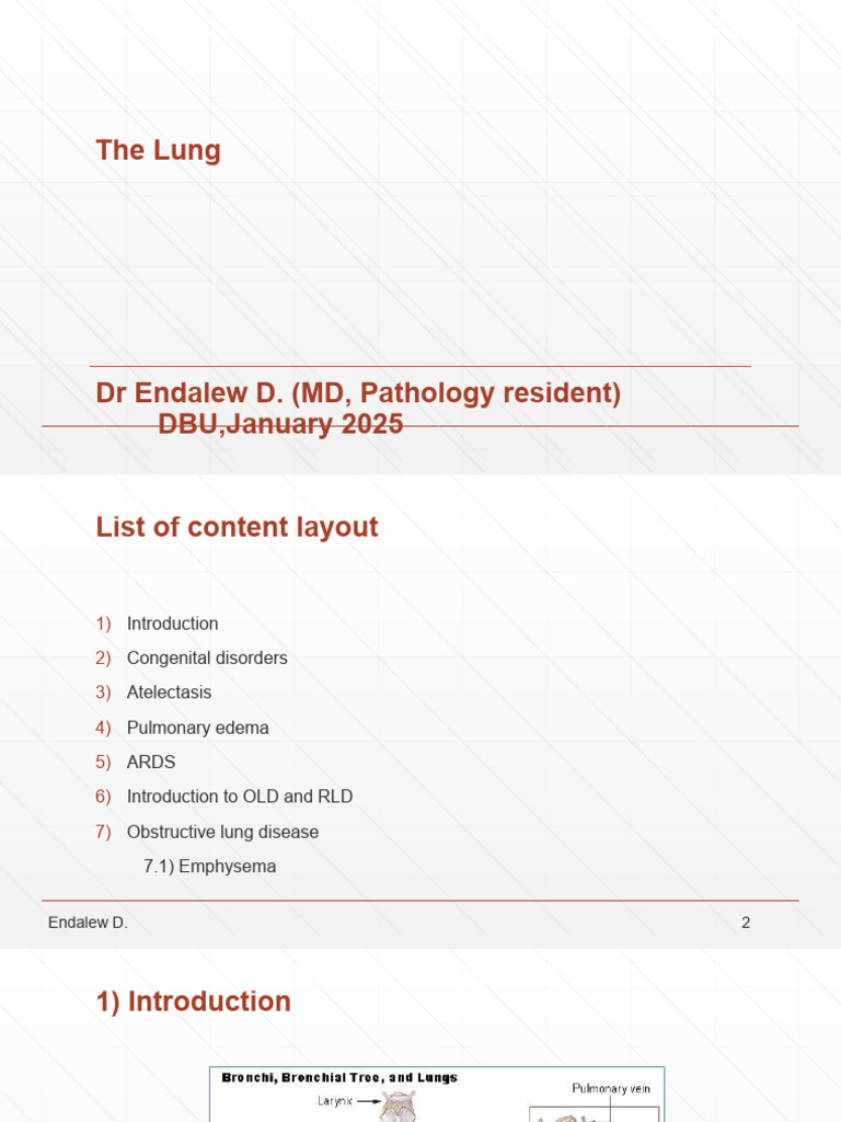 2 Pathology of The Lung | PDF | Lung | Respiratory Diseases