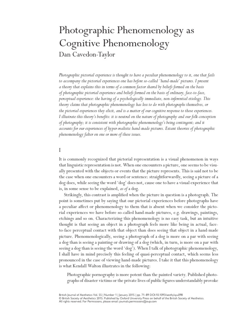 Pictorial Phenomenology | PDF | Experience | Epistemology