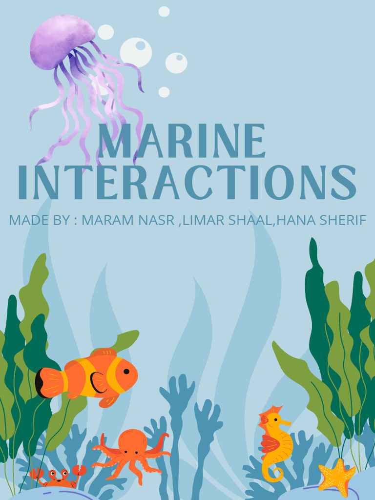 Blue Simple Book Cover A4 Document | PDF | Predation | Sharks