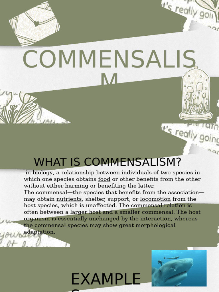 COMMENSALISM. G3. | PDF | Trees | Biology