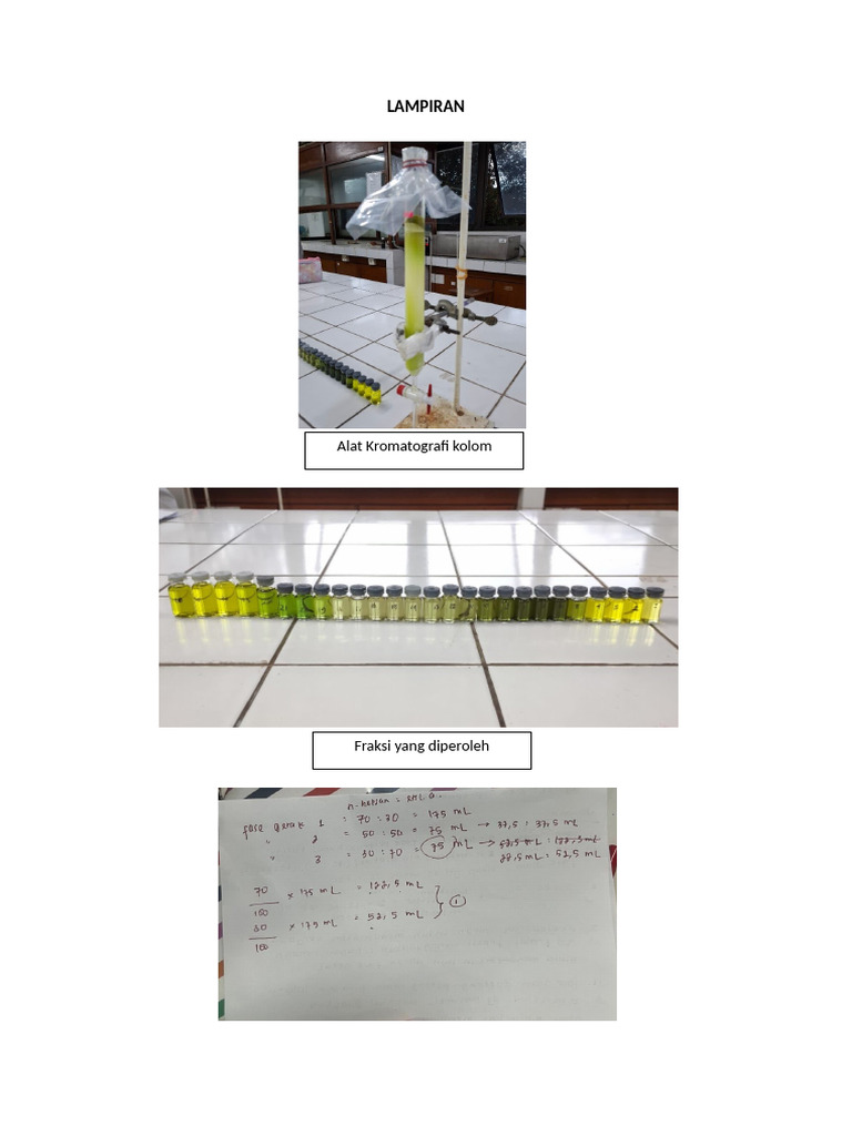 LAMPIRAN kromatografi kolom | PDF