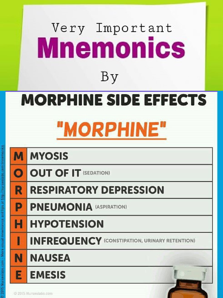 Mnemonics PDF | PDF