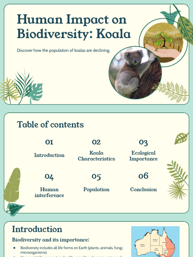 Human Impact On Biodiversity - Koala | PDF | Koala | Biodiversity