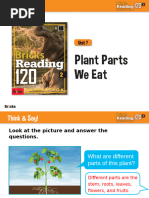 Parts of The Plant That We Can Eat | PDF | Fruit | Vegetables