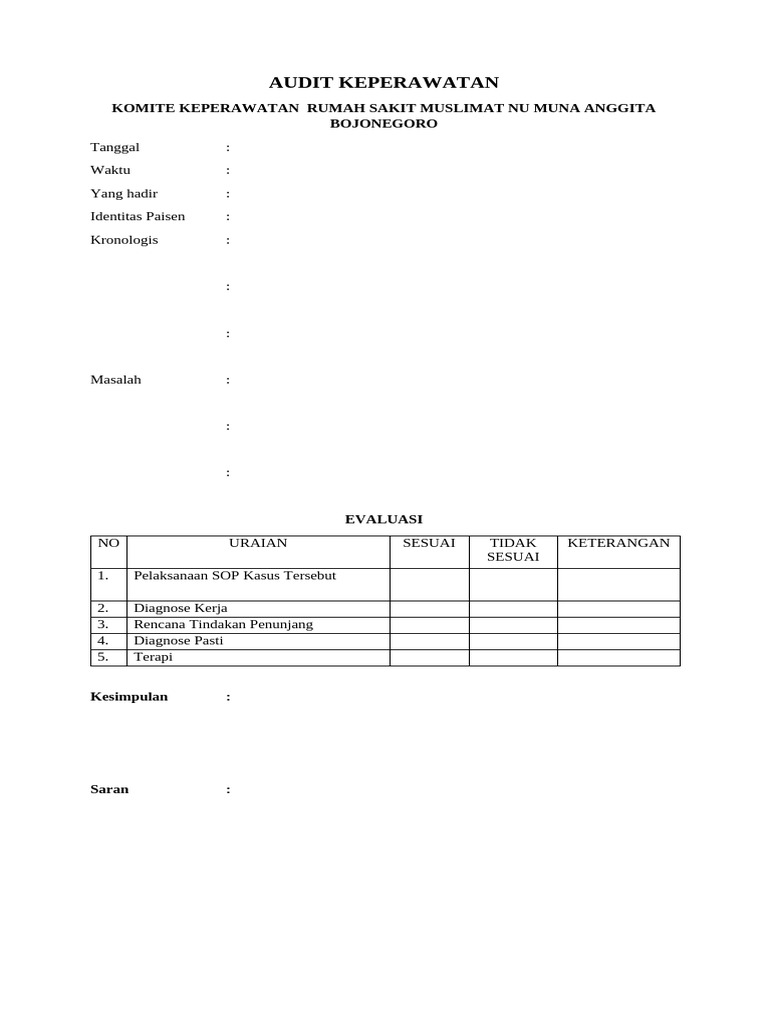 Audit Medis | PDF