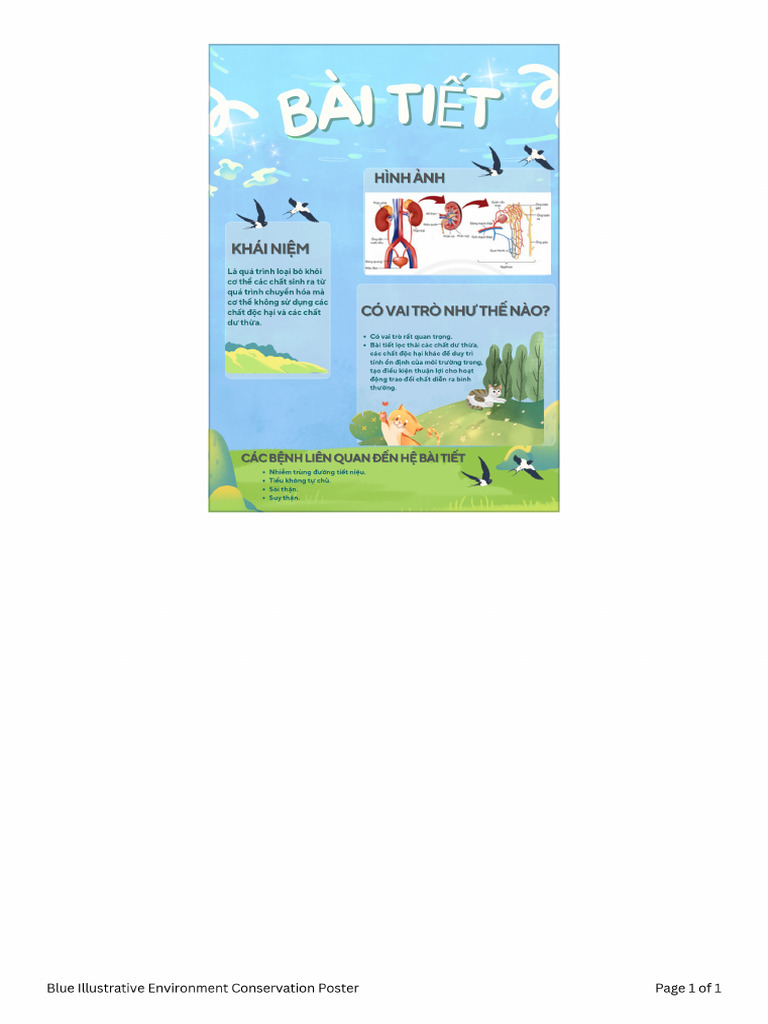 11A2 _ NHƯ + KIỀU | PDF