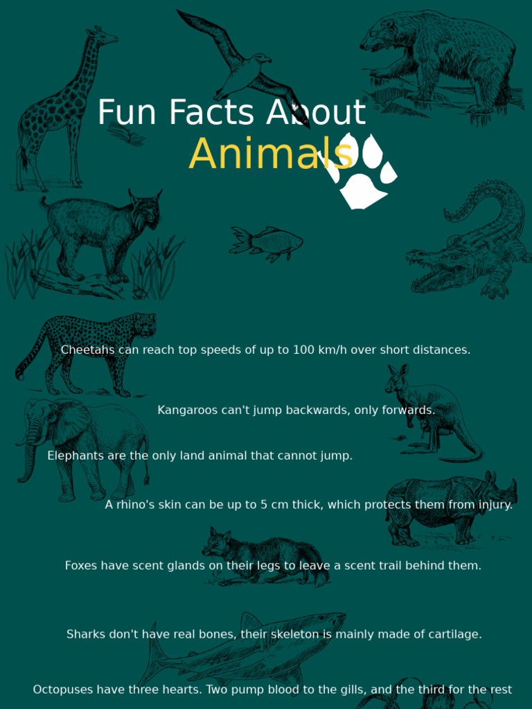 Fun Facts | PDF