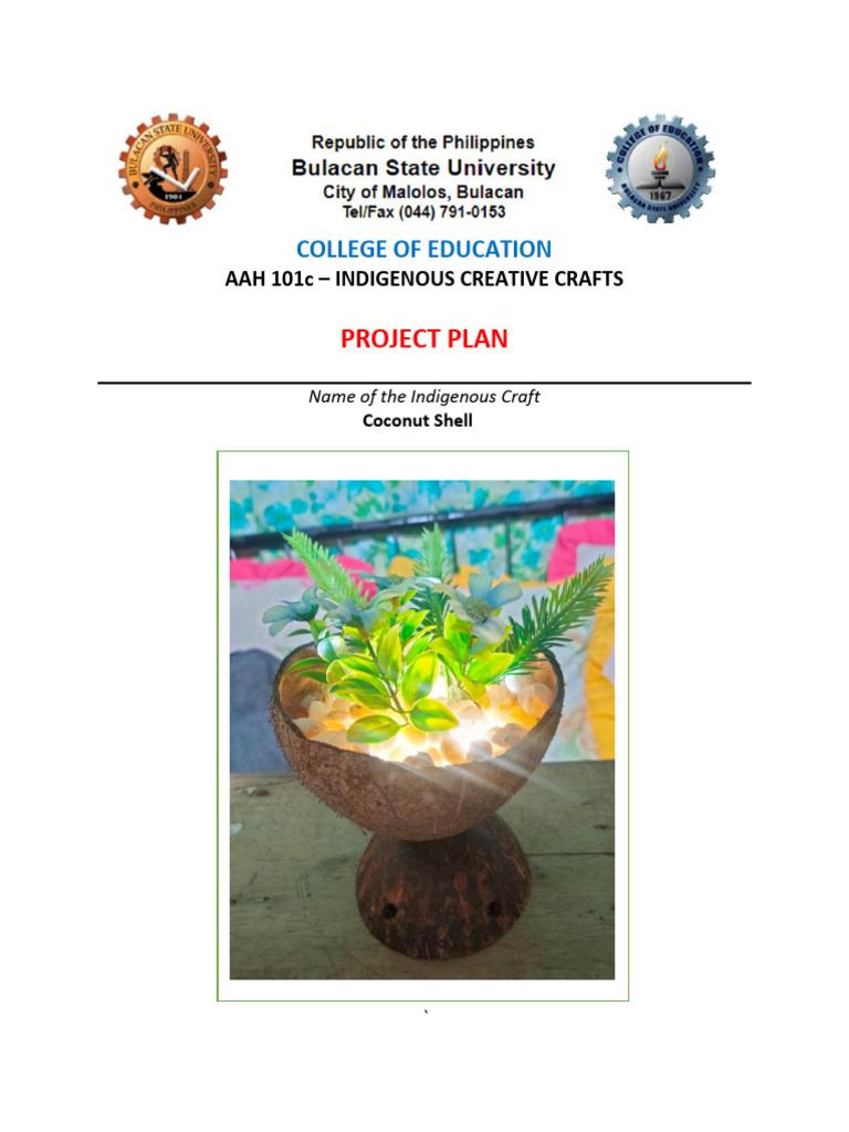 Indigenous Coconut Shell Craft Project | PDF