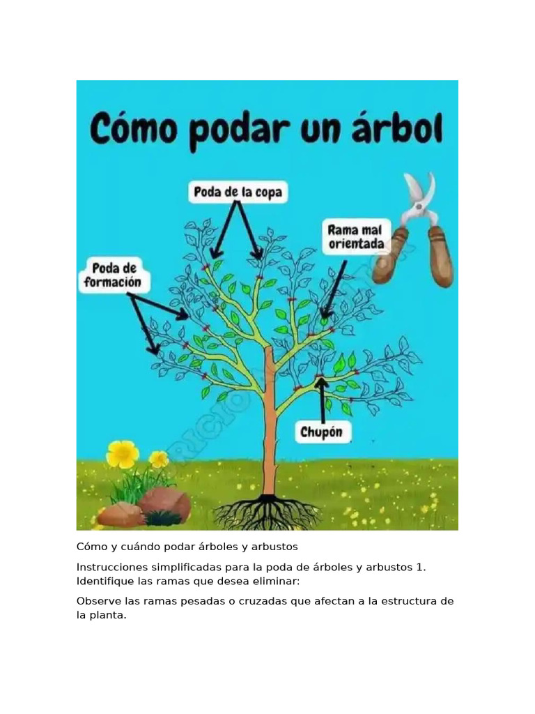 Como Podar Un Árbol. | PDF