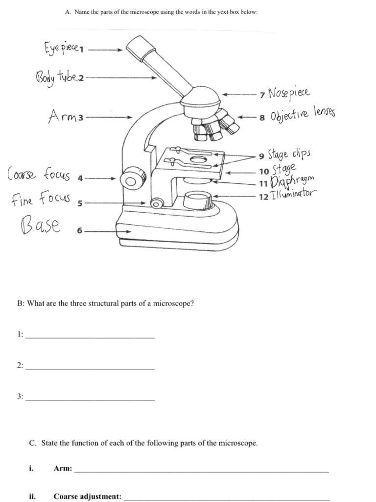 Year 7 Revision | PDF