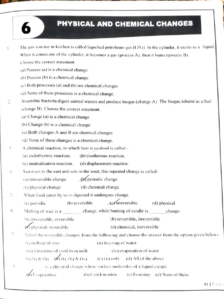 Physical and Chemical Change Assignment | PDF