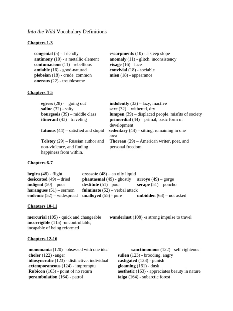 Vocabulary for "Into the Wild" | PDF