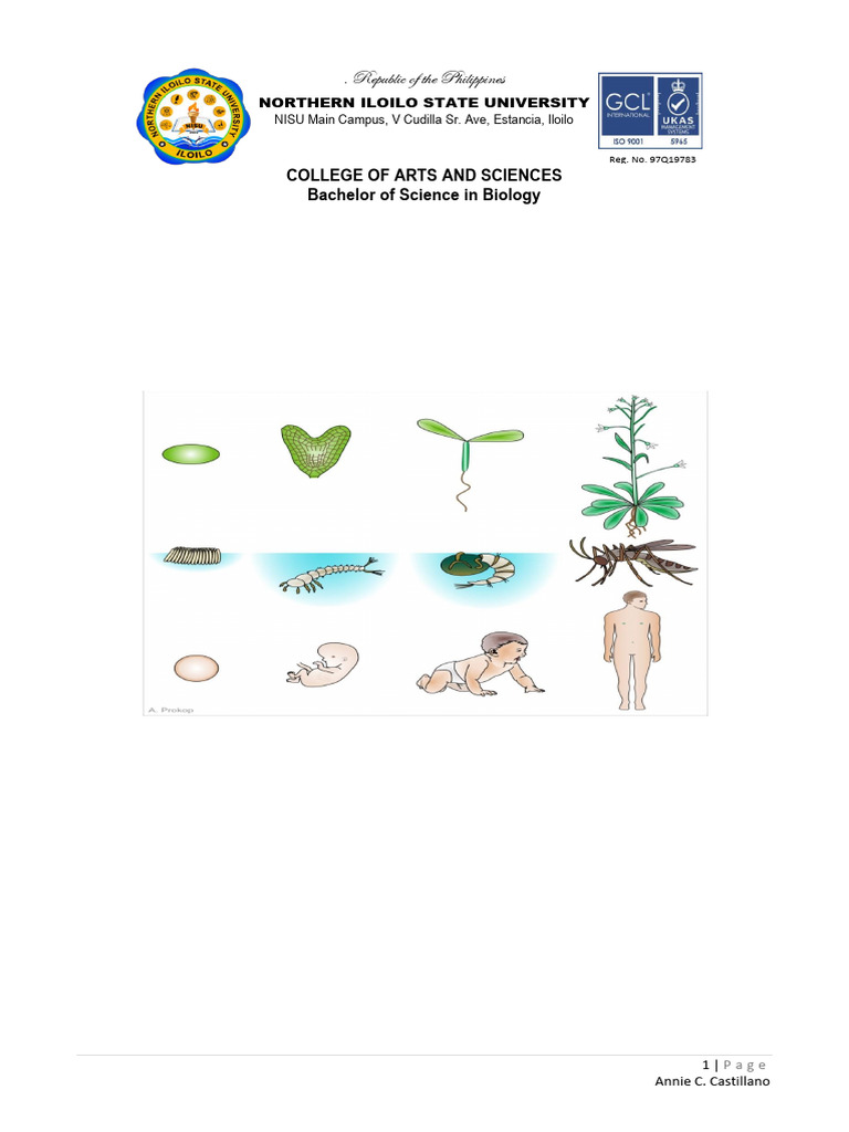 Developmental Biology Instructional Manual | PDF | Cell Signaling ...