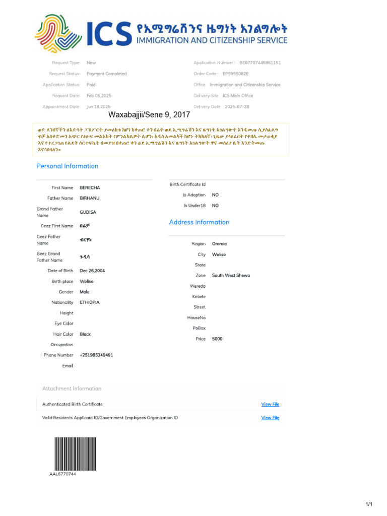 Birhanu Berecha Bellama Waxabajjii 9 2017 | PDF