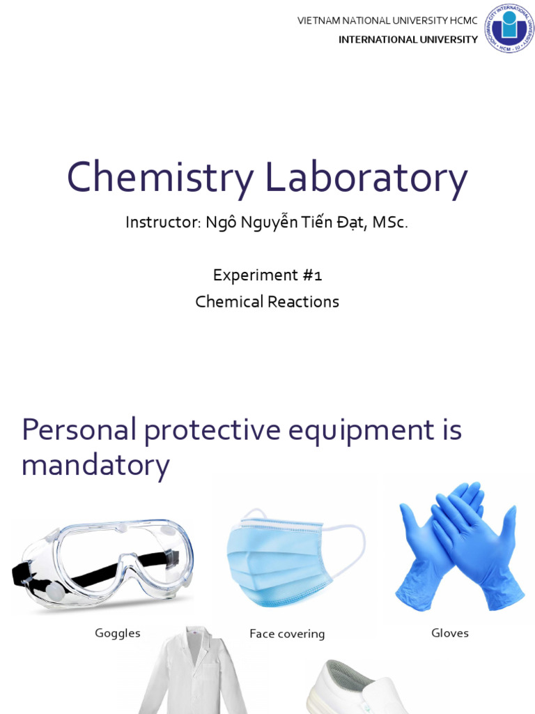 Chemical Reactions Lab Guide | PDF | Chemical Reactions | Chemical Substances