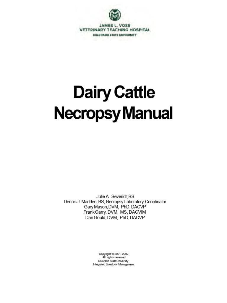 Dairy Cattle Necropsy 2 | PDF | Lung | Heart