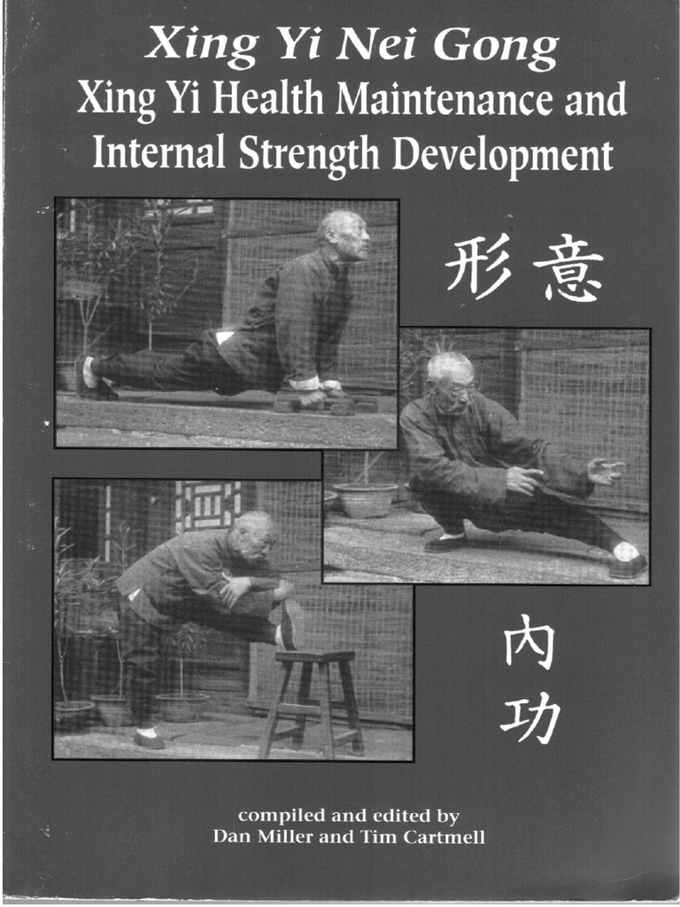 Dan Miller and Tim Cartmell - Xing Yi Nei Gong | PDF