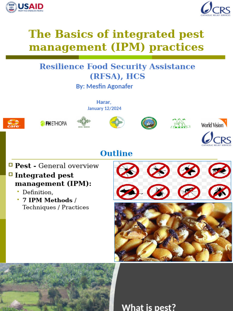 Integrated Pest Management Basics | PDF | Rat | Pesticide