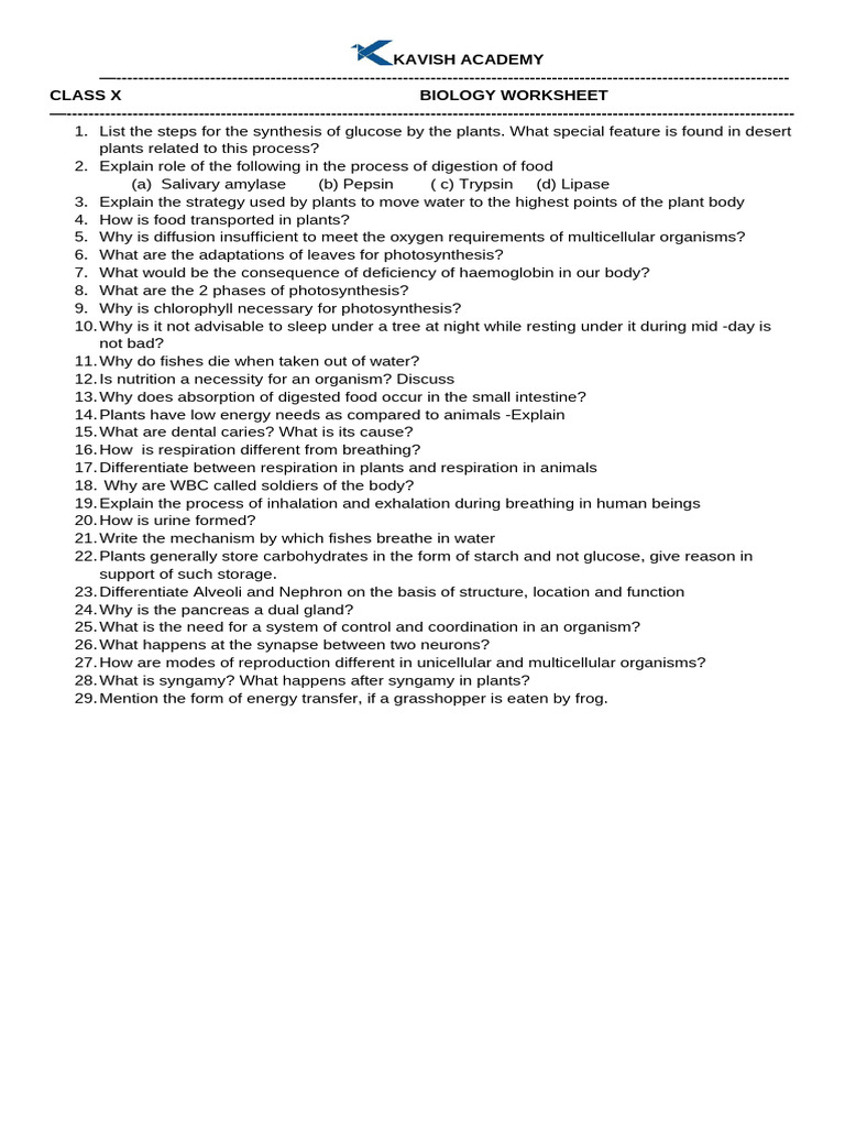 Class X Biology Worksheet Questions | PDF | Digestion | Biology