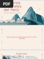 Resumen de La Región Janca | PDF