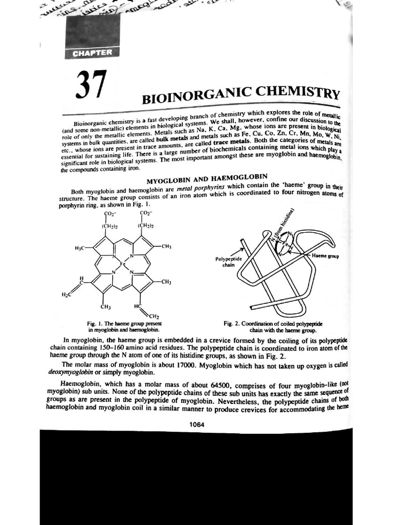 Image To PDF 20240722 19.33.21 | PDF