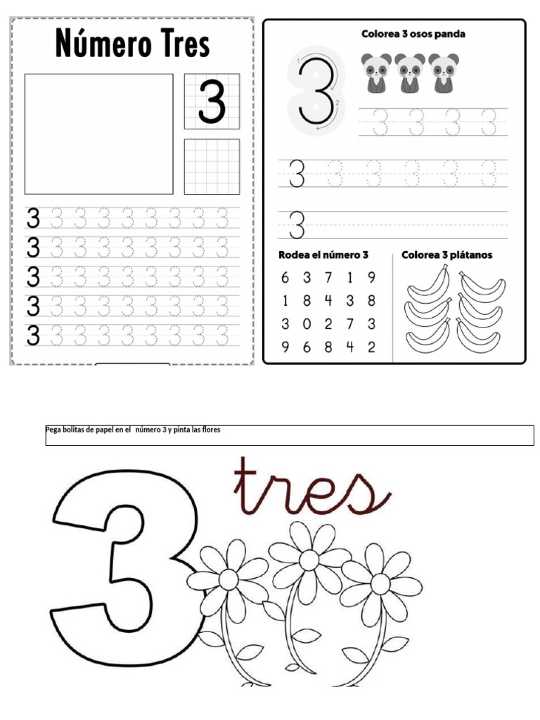 Ficha Numero 3 | PDF