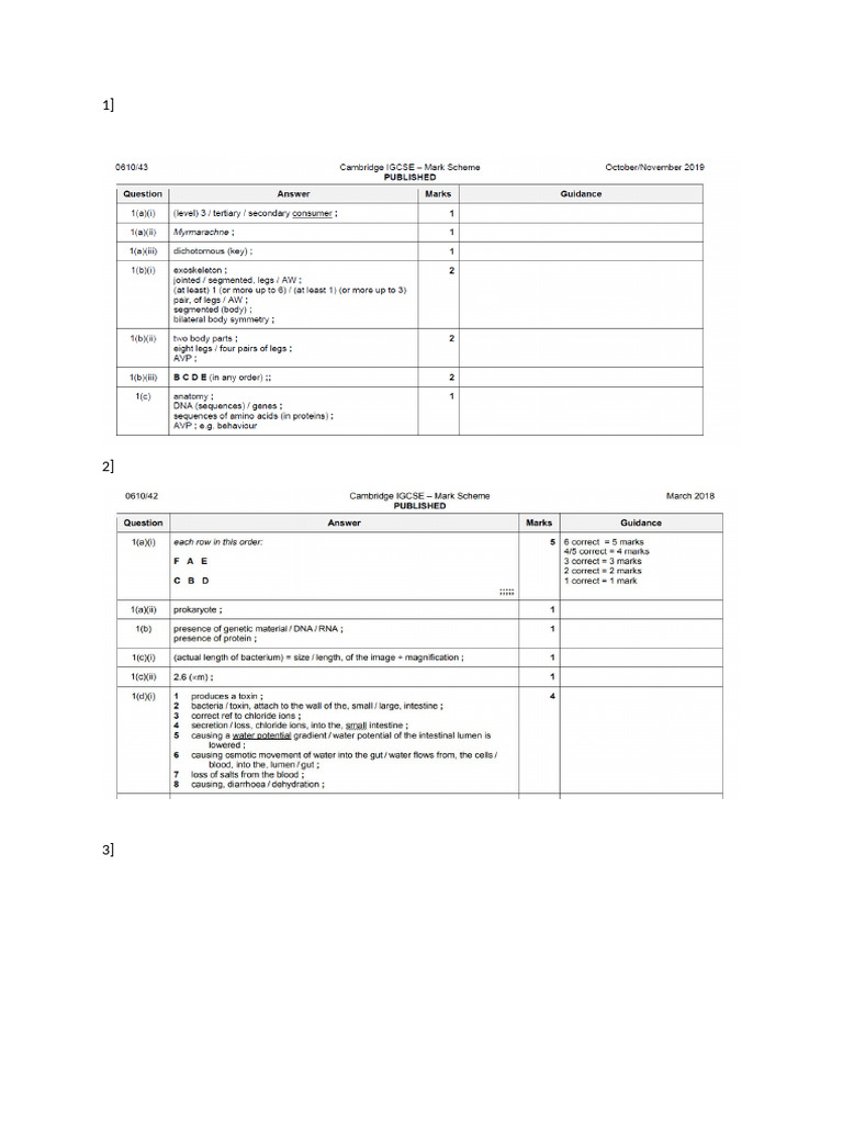 Ms Grade 9 First Assessment 23 | PDF