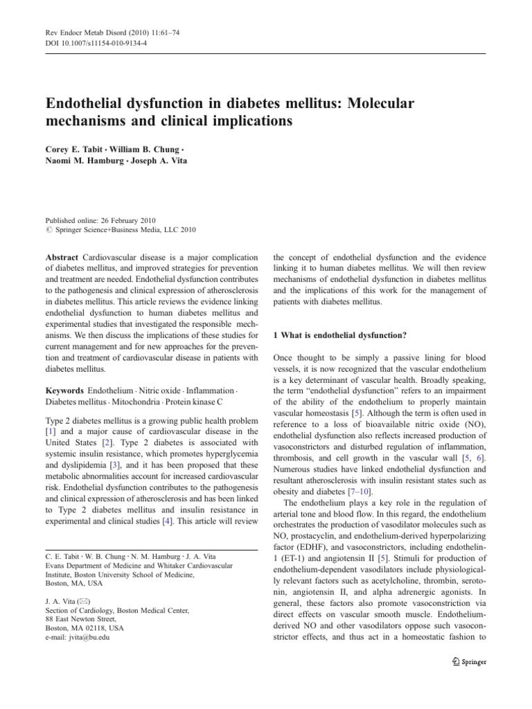 Endothelial Dysfunction in Diabetes Mellitus | PDF | Endothelium ...