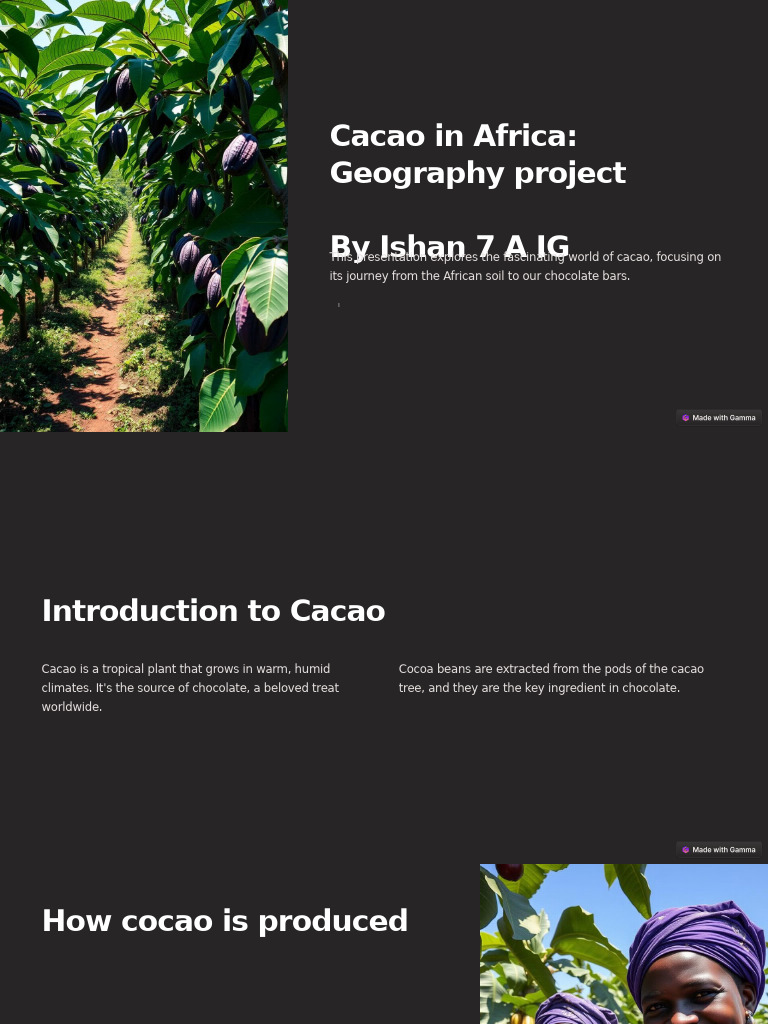 Cacao in Africa A Geography Lesson For 7th Graders | PDF | Cocoa Bean ...