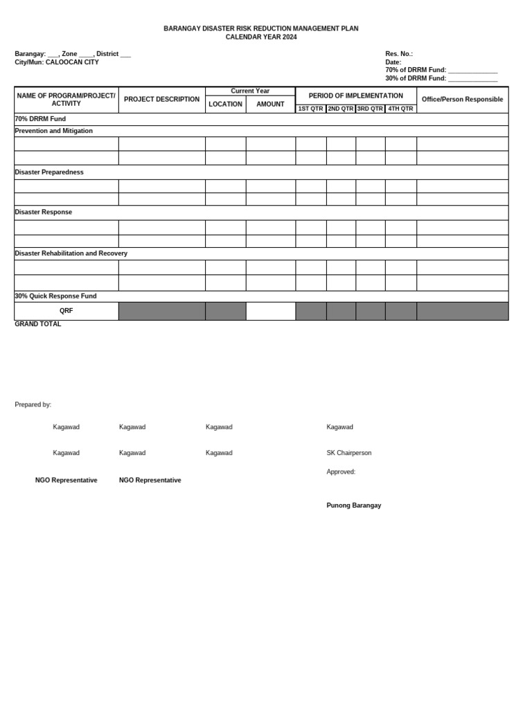 BDRRMP Template 1 | PDF