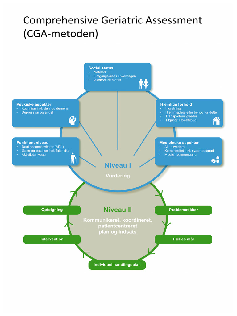 Comprehensive Geriatric Assessment | PDF